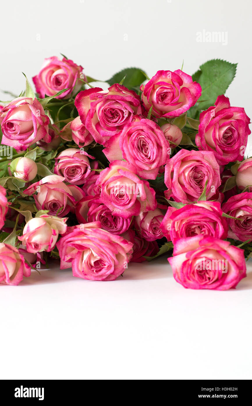 Bouquet of pink roses on isolated background Stock Photo - Alamy