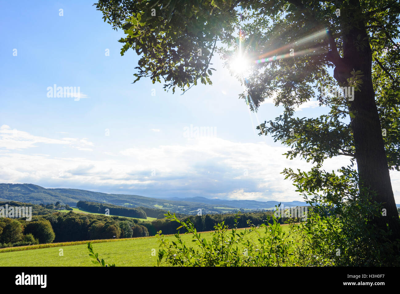 Maria-Anzbach: view in Vienna Woods, Wienerwald, Vienna Woods ...