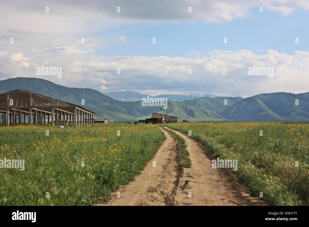 The nature in Kazakhstan, steppe Stock Photo - Alamy