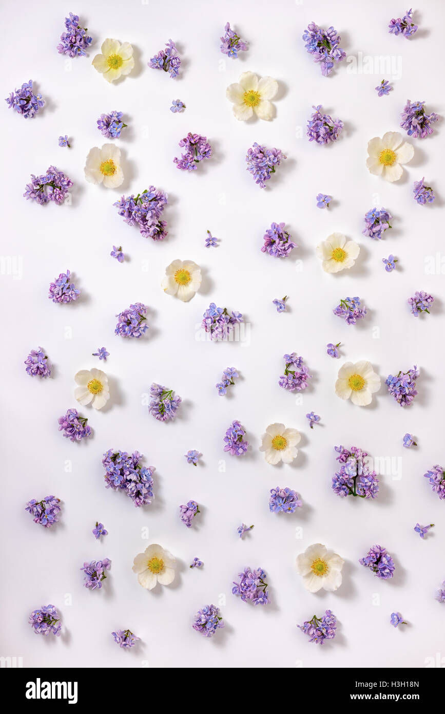 top view of beautiful lilac and anemone flowers pattern, flat lay ...