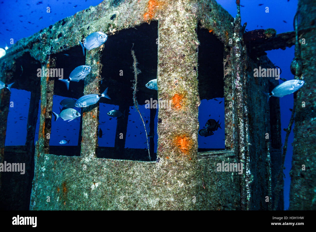 Fish wheel hi-res stock photography and images - Alamy