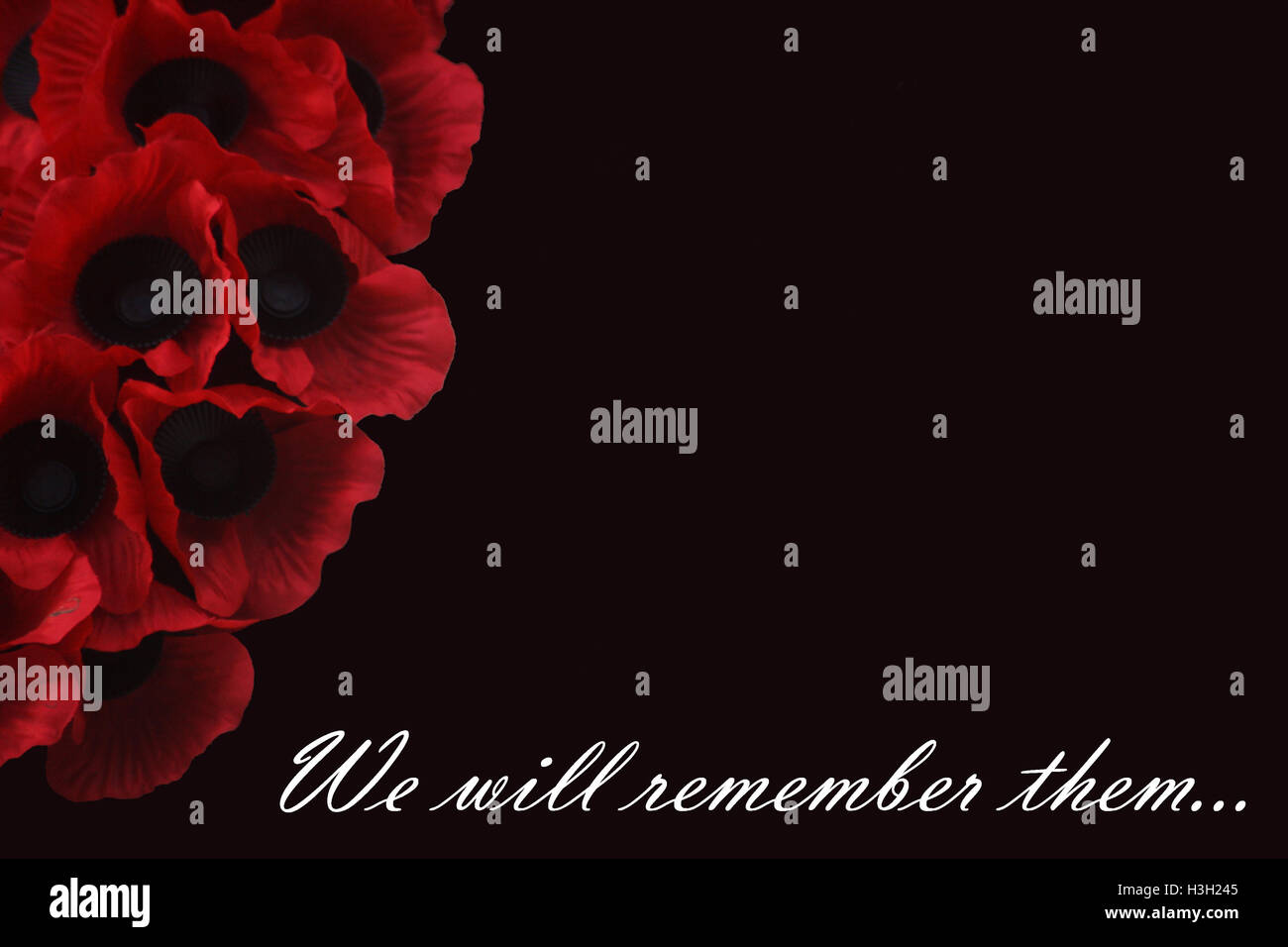 Poppies remembrance day anzac hi-res stock photography and images - Alamy