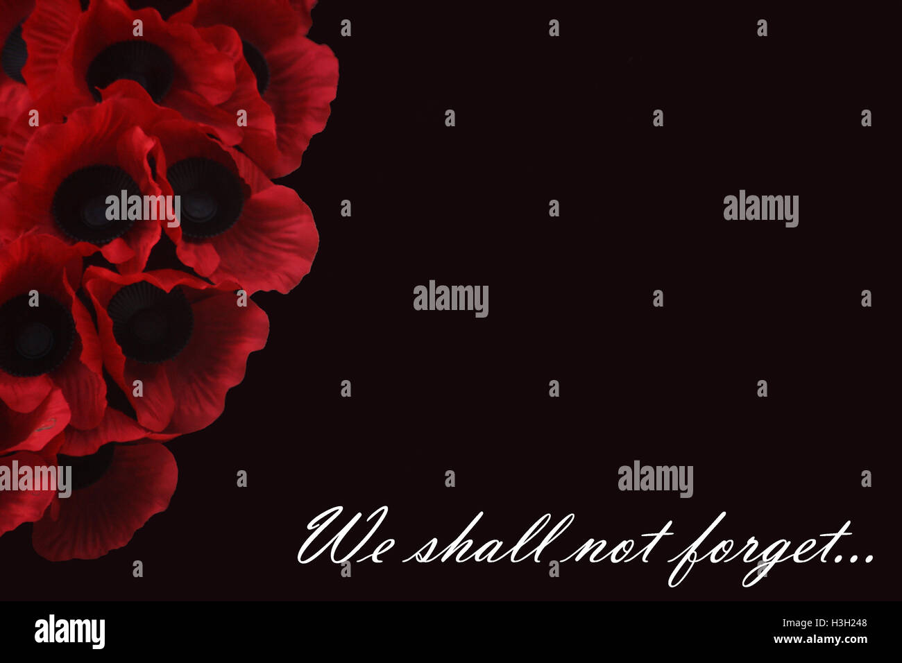 Remembrance day scene Stock Photo - Alamy