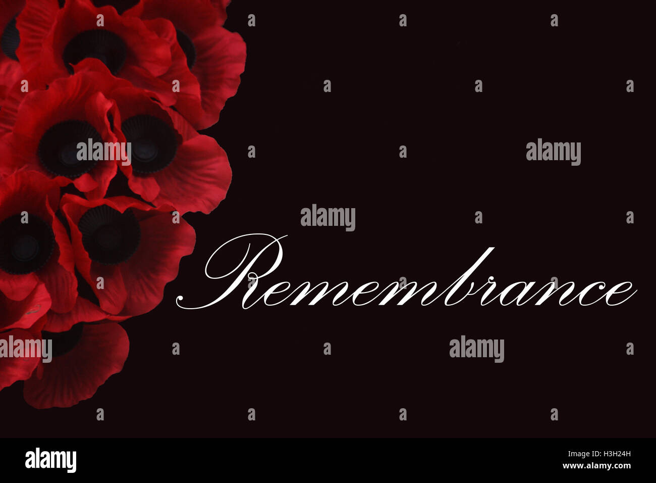 Remembrance day scene Stock Photo - Alamy