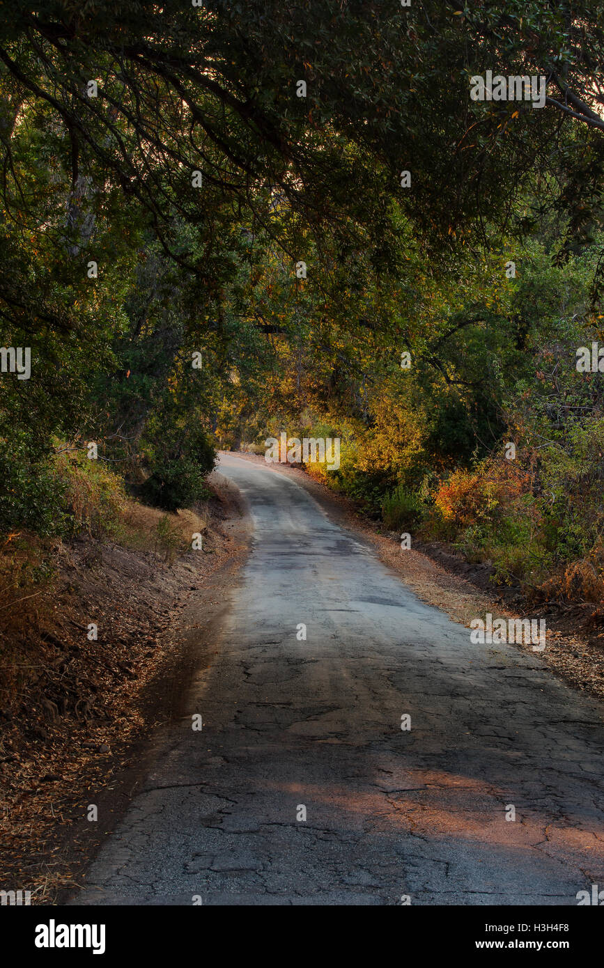 Rural us road hi-res stock photography and images - Alamy