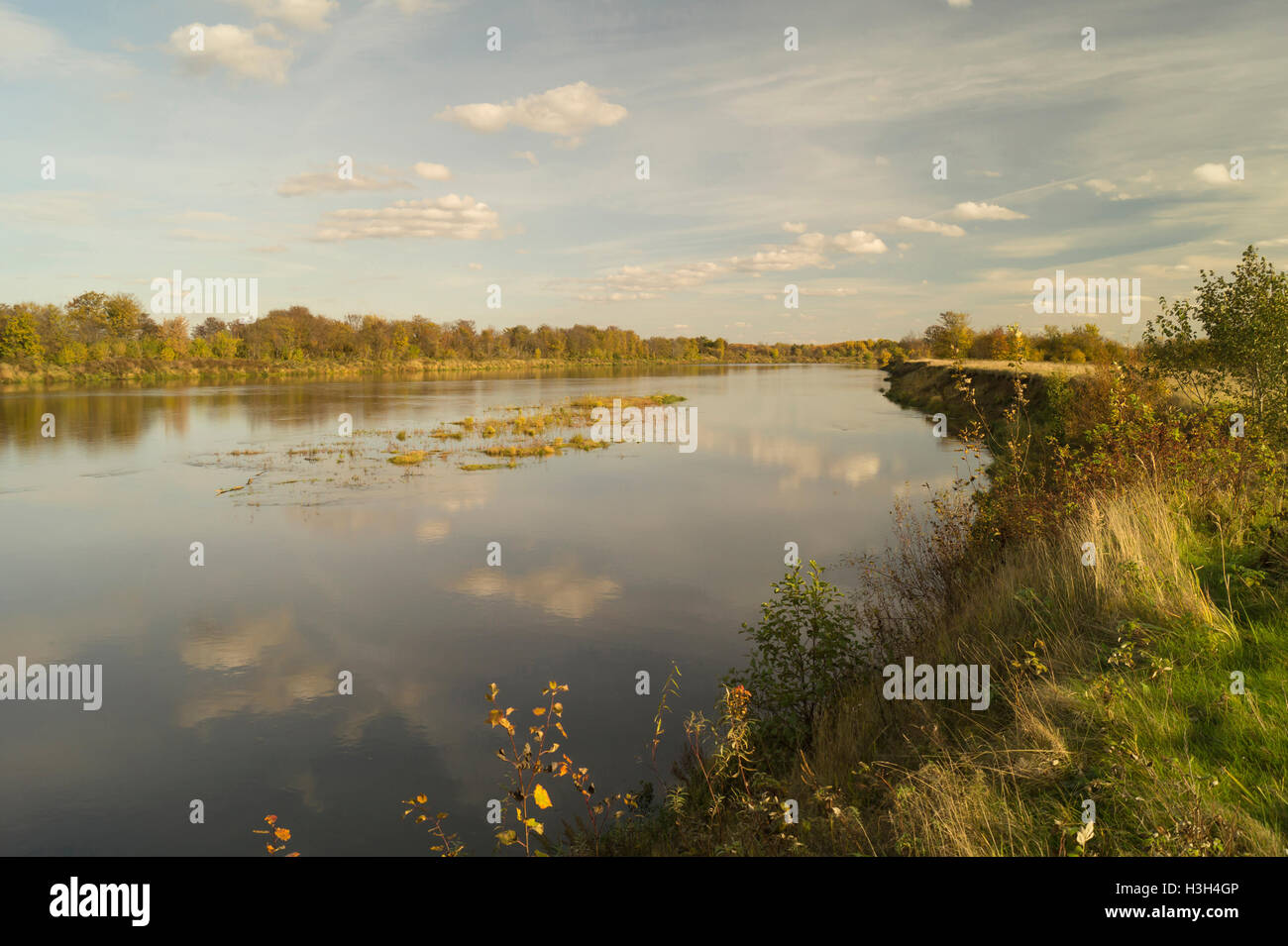 Autumn landscape with river on background blue sky and white cloud ...