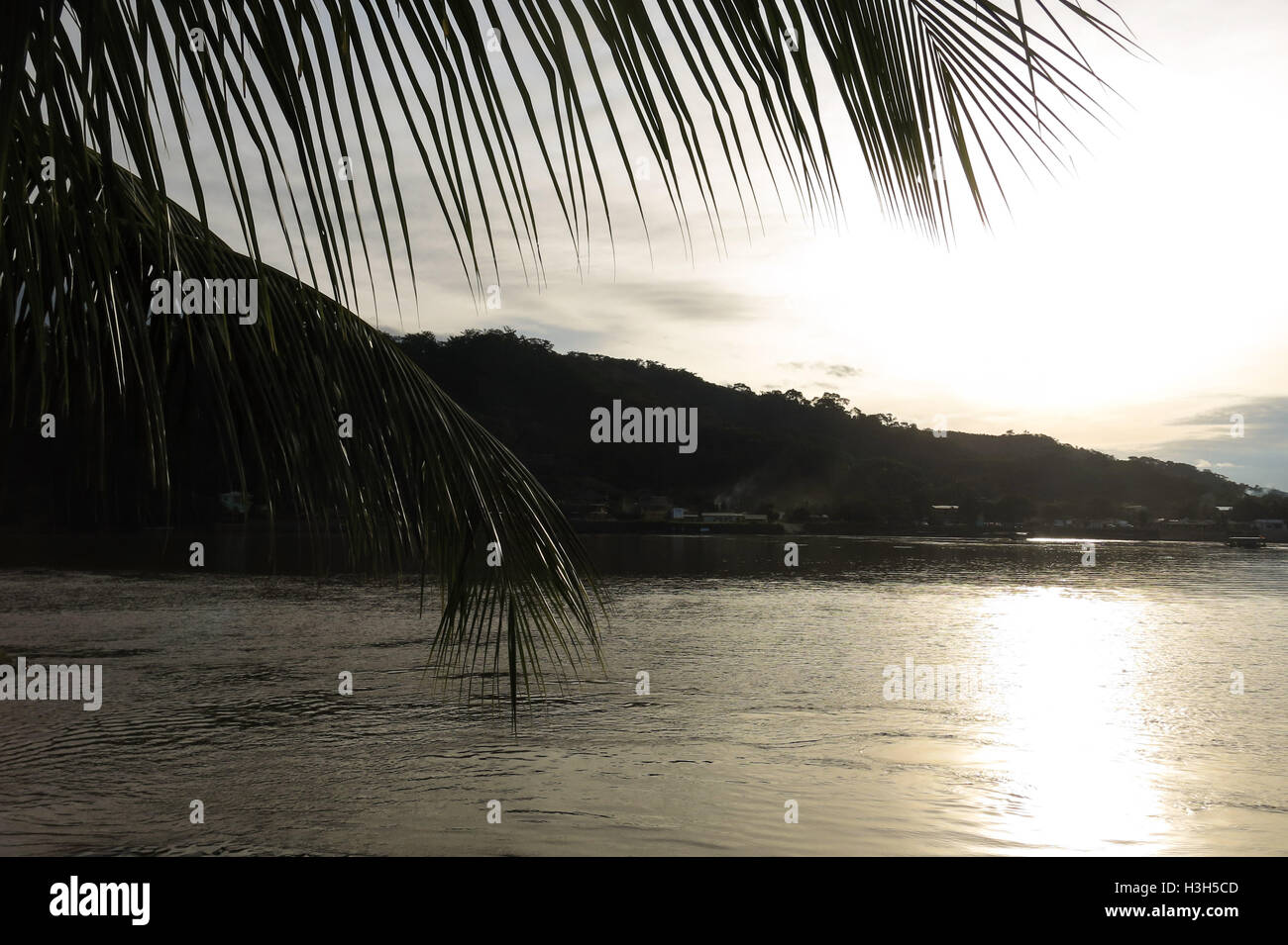 Boats on Beni river, Rurrenabaque, Bolivia. Beni and La Paz Region ...