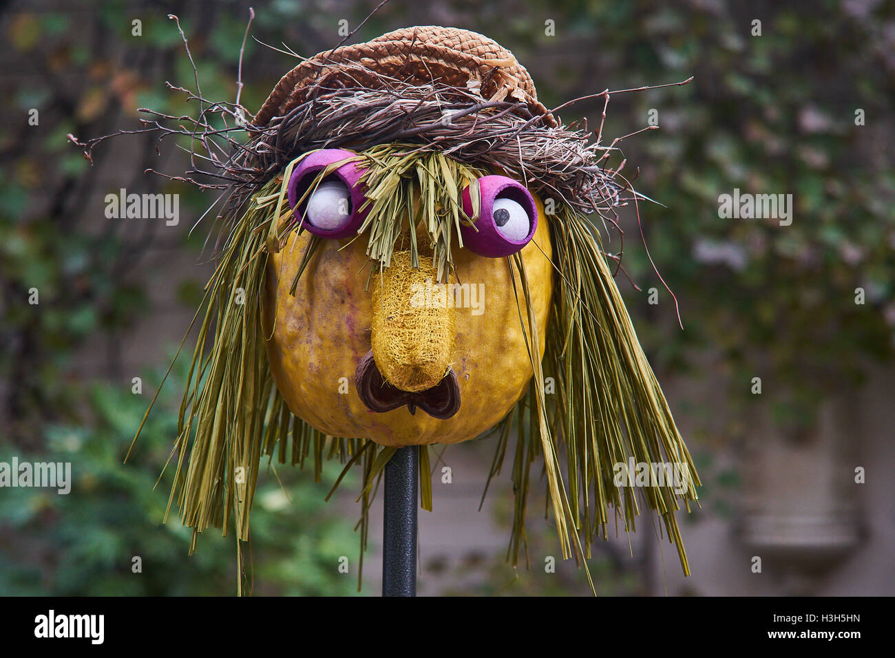 Halloween puppets made of pumpkin Stock Photo - Alamy