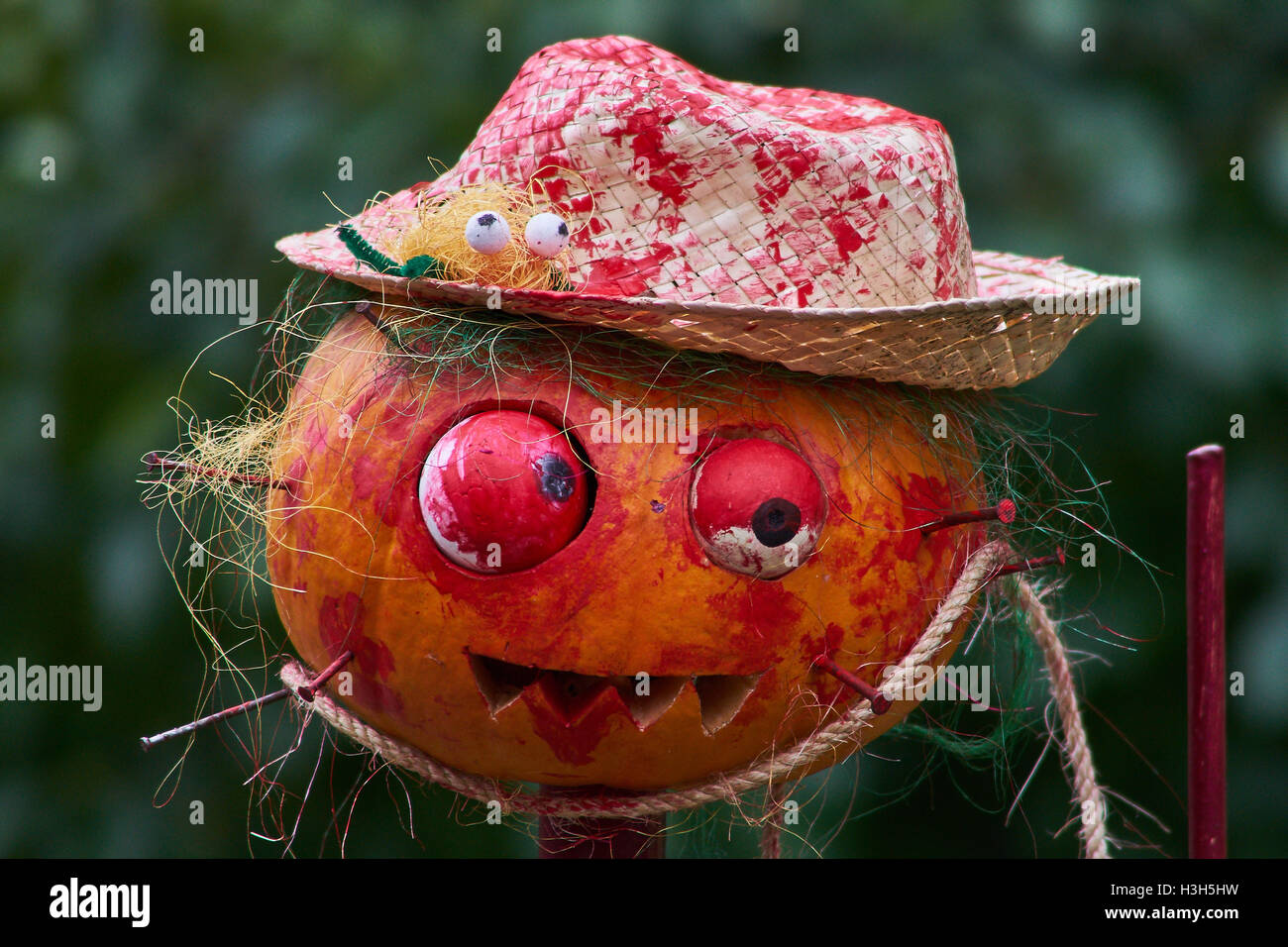 Halloween puppets made of pumpkin Stock Photo - Alamy