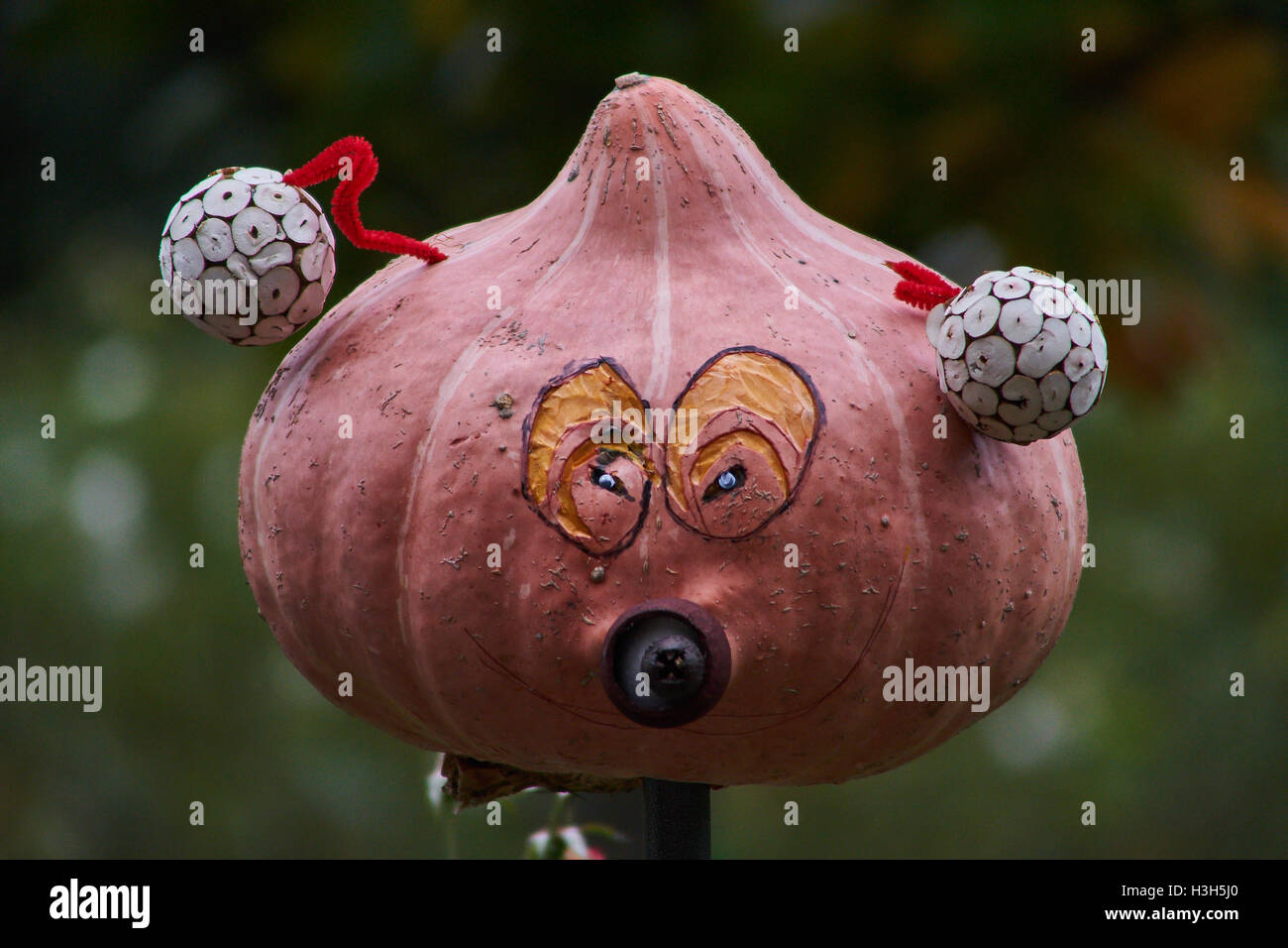 Halloween puppets made of pumpkin Stock Photo - Alamy