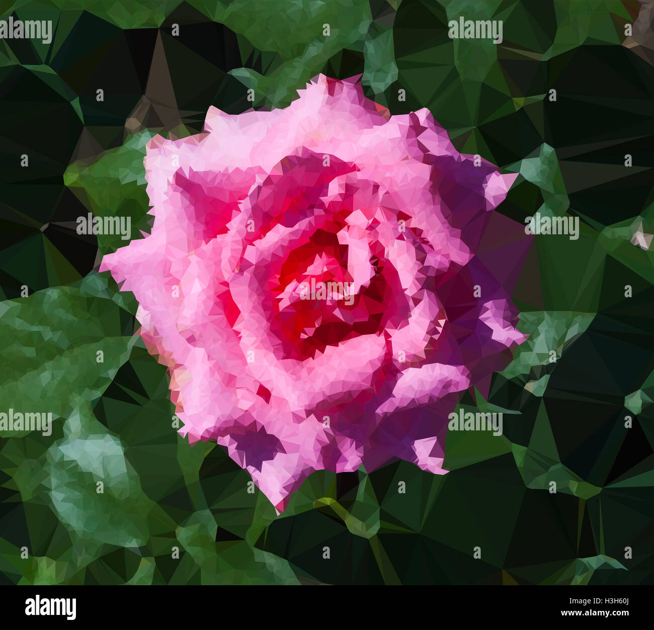 Single big pink rose, abstract polygonal background Stock Photo - Alamy