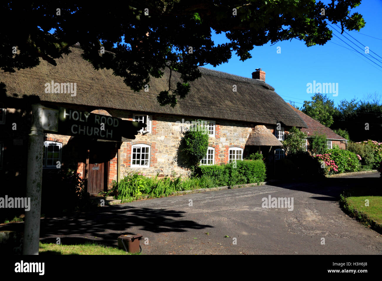 A shady tree and thatched cottages at Coombe Keynes, near Lulworth ...