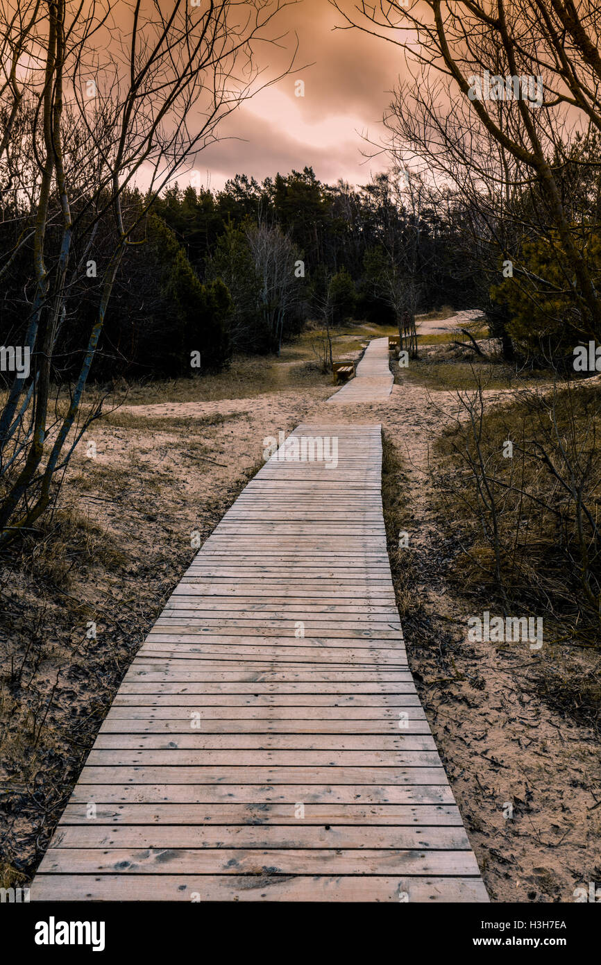 Autumn composition with wooden pathway in the park and dramatic sky at ...