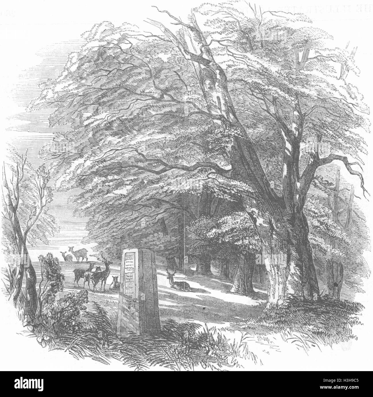 Rufus stone hi-res stock photography and images - Alamy