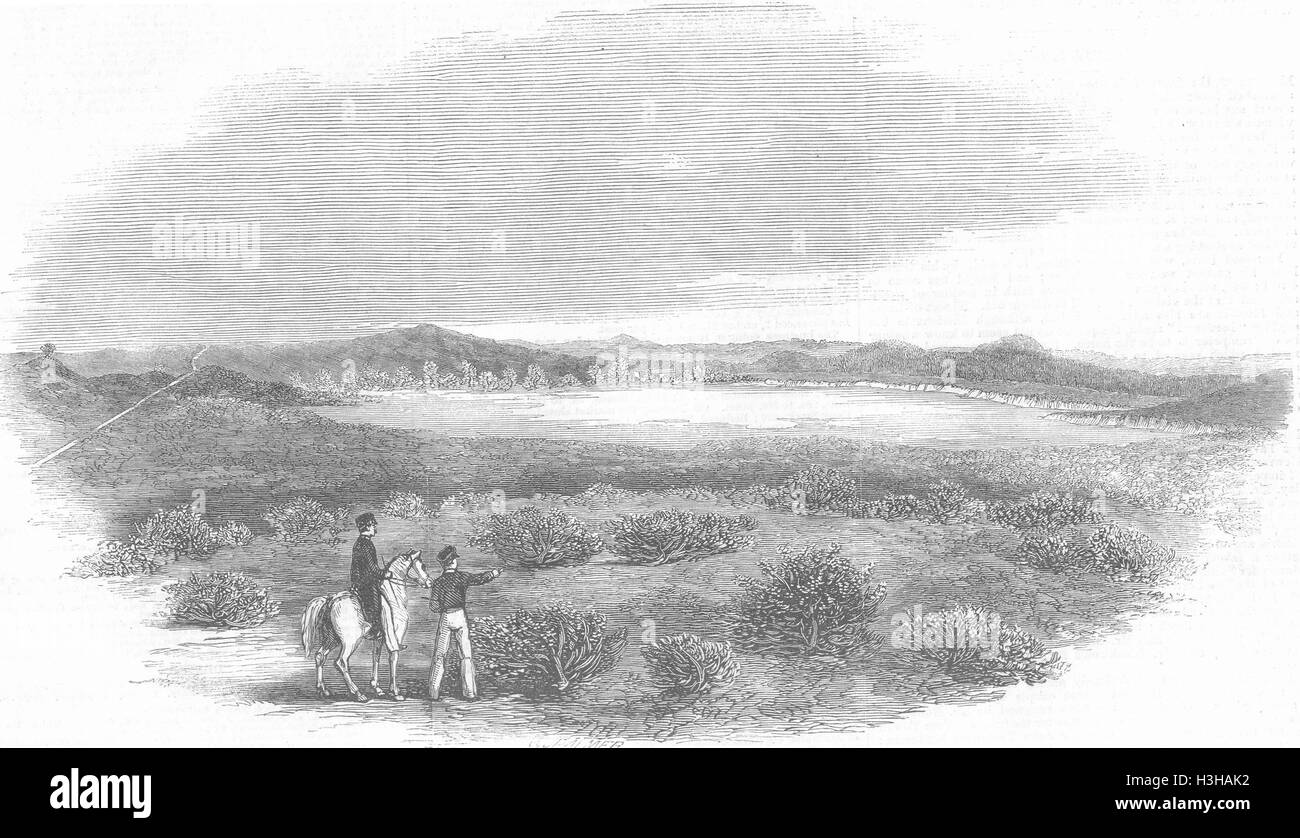 HANTS Planned camp, Woolmer Forest 1859. Illustrated London News Stock ...