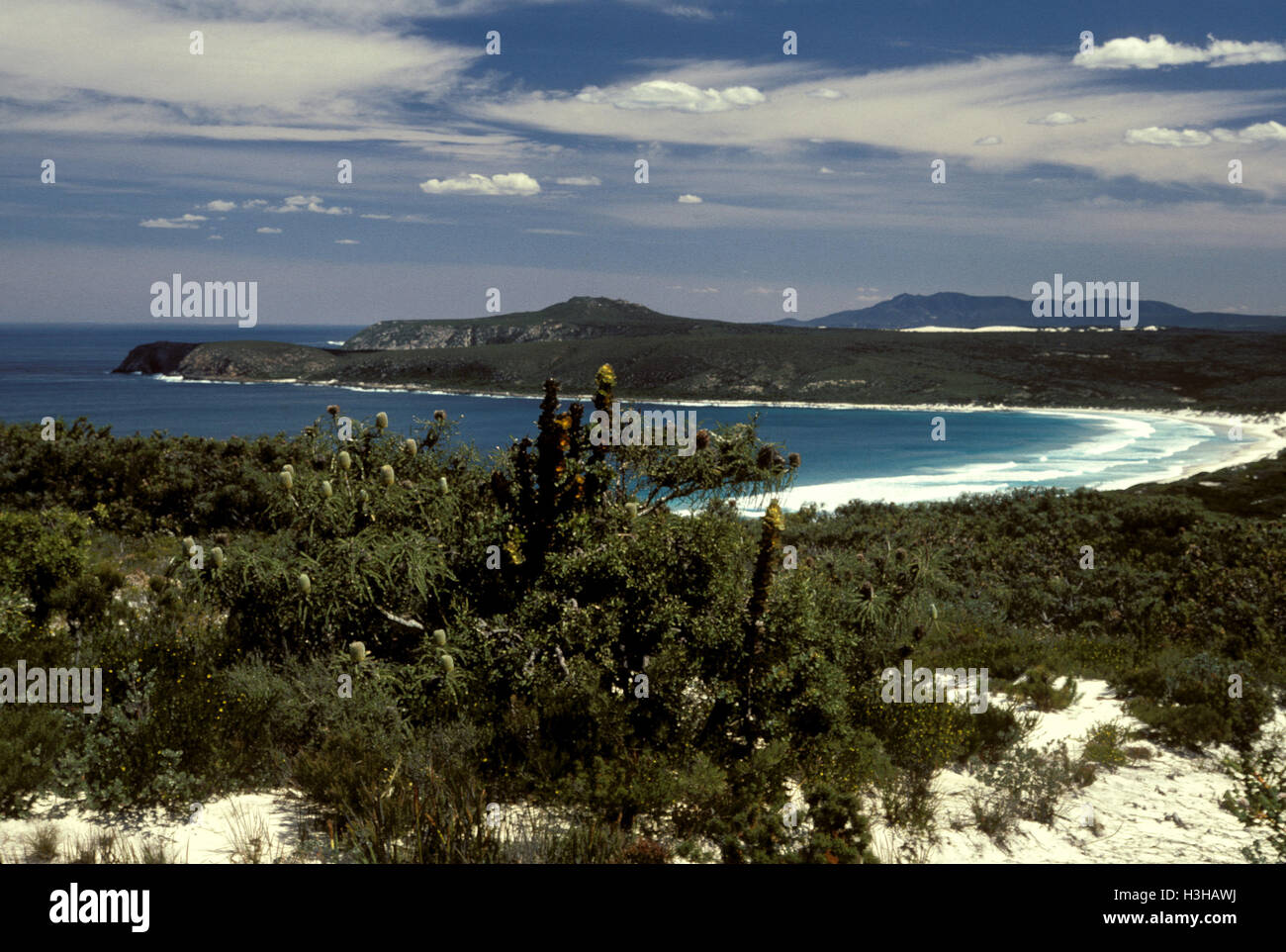 Fitzgerald River National Park Stock Photo - Alamy