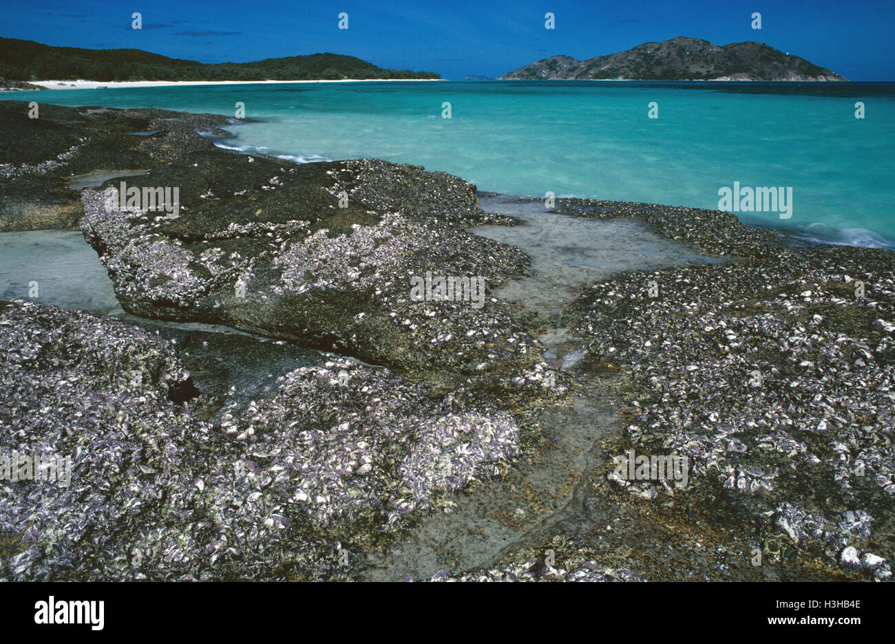Coast of Lizard Island Stock Photo - Alamy