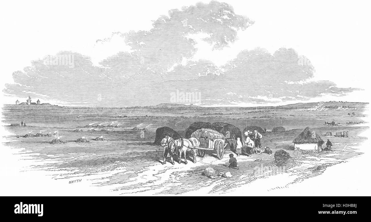 IRELAND Bog of Allen, from canal side 1850. Illustrated London News ...
