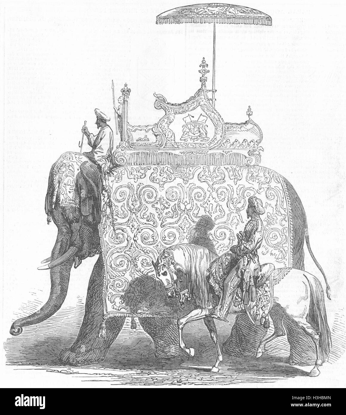INDIA State Howdah, and elephant 1851. Illustrated London News Stock ...