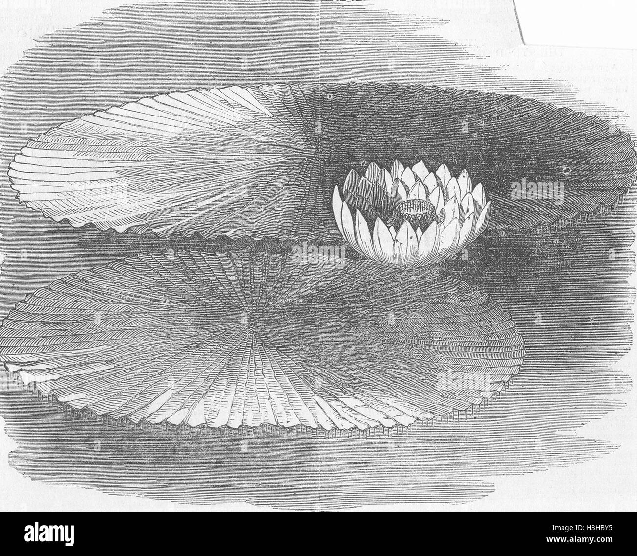 Kings old road Black and White Stock Photos & Images - Alamy