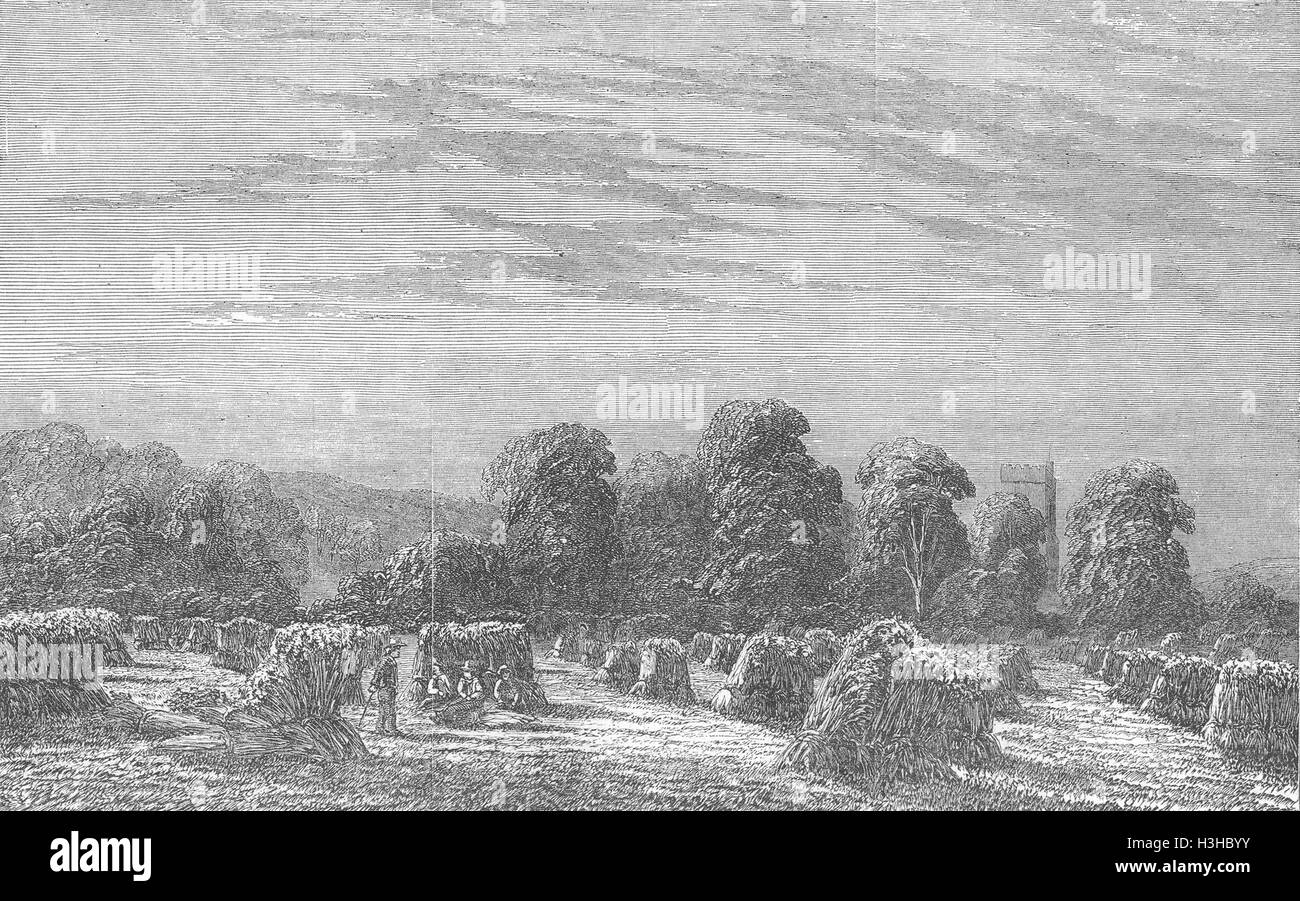 LANDSCAPES A Corn-Field Evening 1851. Illustrated London News Stock ...
