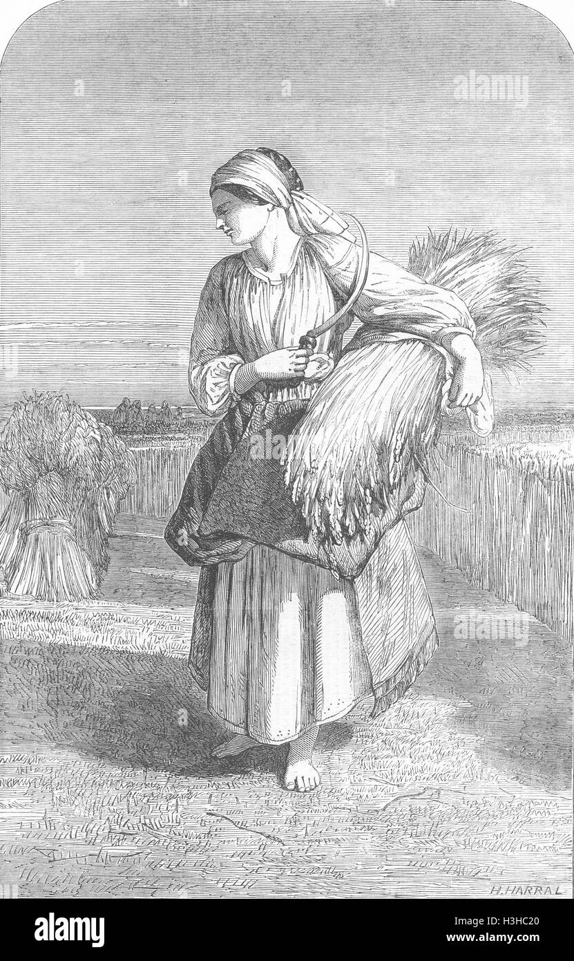 PRETTY LADIES Ruth 1852. Illustrated London News Stock Photo - Alamy