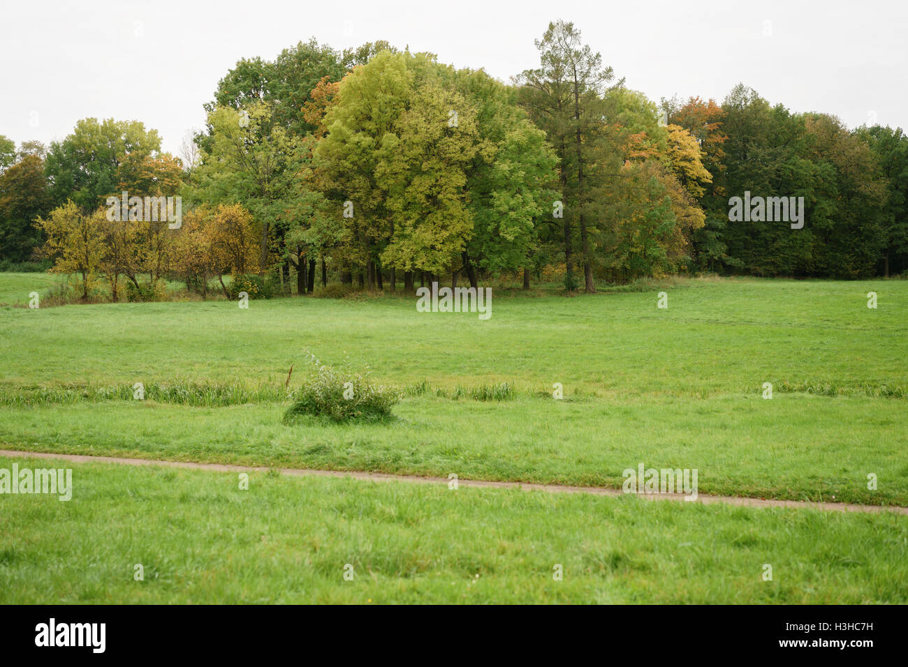 early autumn landscape in park with field and tree Stock Photo - Alamy