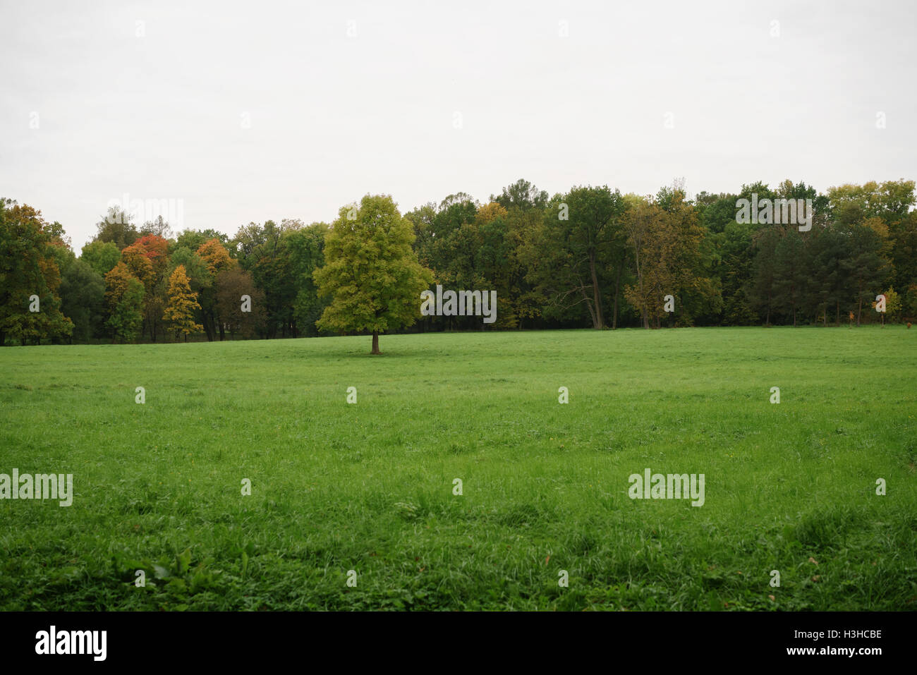 Park field hi-res stock photography and images - Alamy