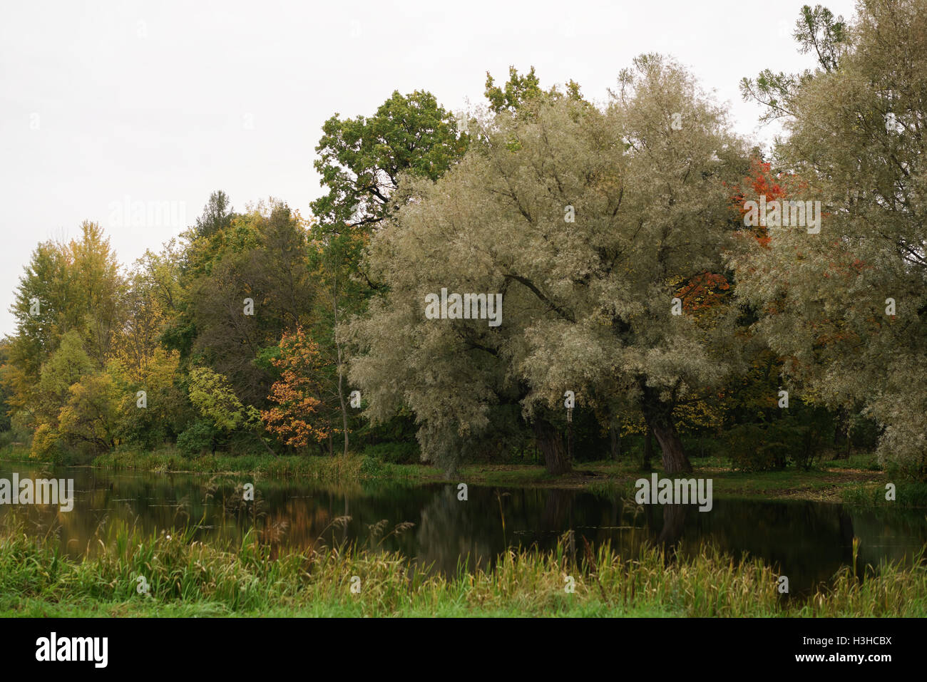 Pond and trees hi-res stock photography and images - Alamy