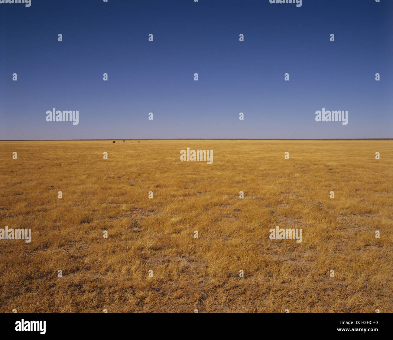 Types of soil hi-res stock photography and images - Alamy