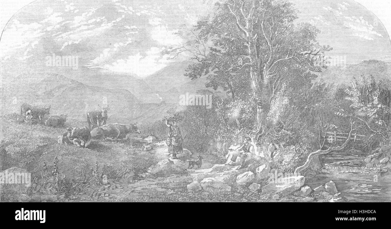 LANDSCAPES Landscape and cattle 1859. Illustrated London News Stock ...