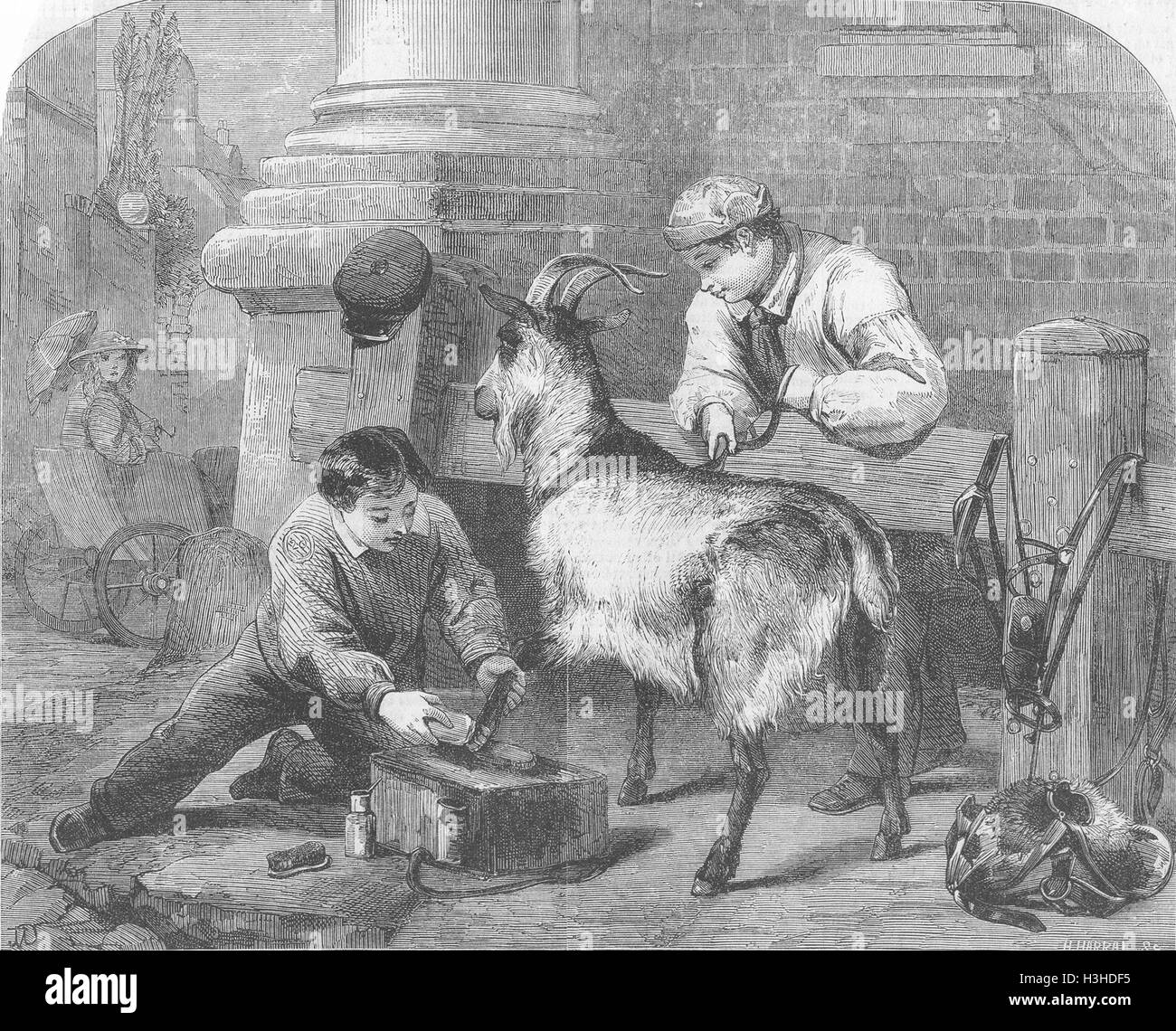 ANIMALS Got a job 1867. Illustrated Times Stock Photo - Alamy