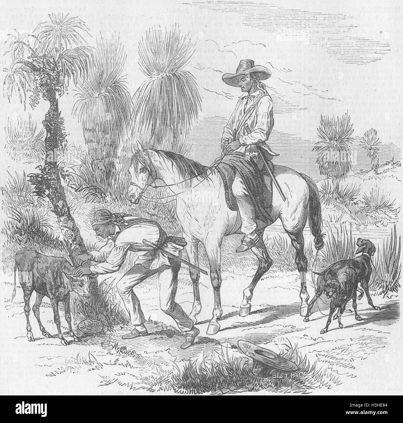 CUBA Sabaneros, Isle of Cuba 1860. Illustrated Times Stock Photo - Alamy