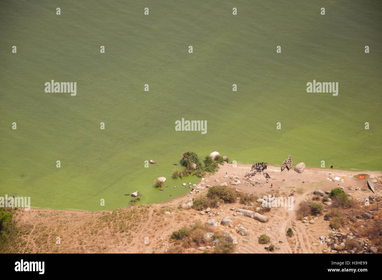 Lake Victoria" Algae Bloom Stock Photo - Alamy