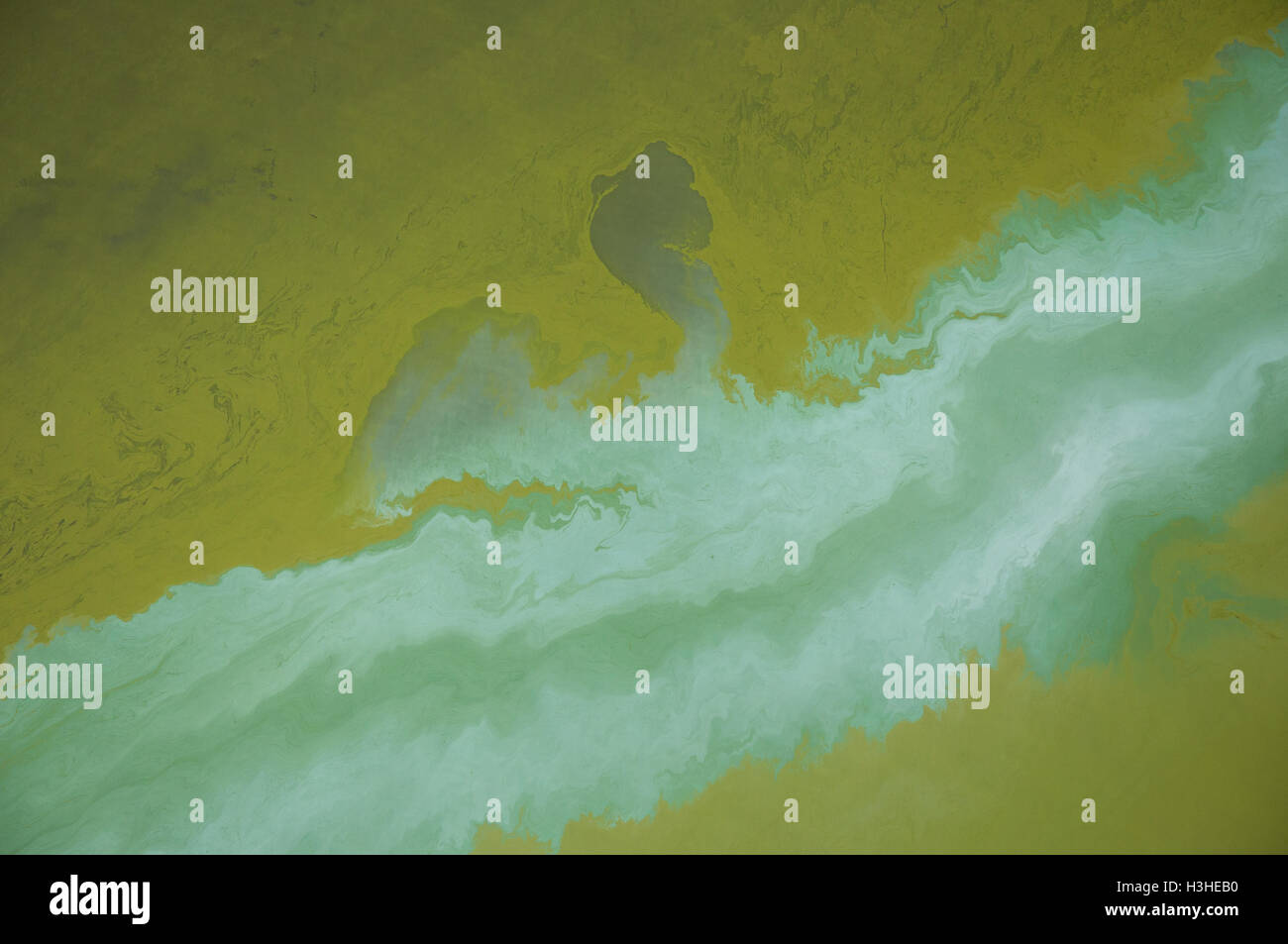 Aerial shot of lake Victoria , Blue-Green Algae bloom Stock Photo - Alamy