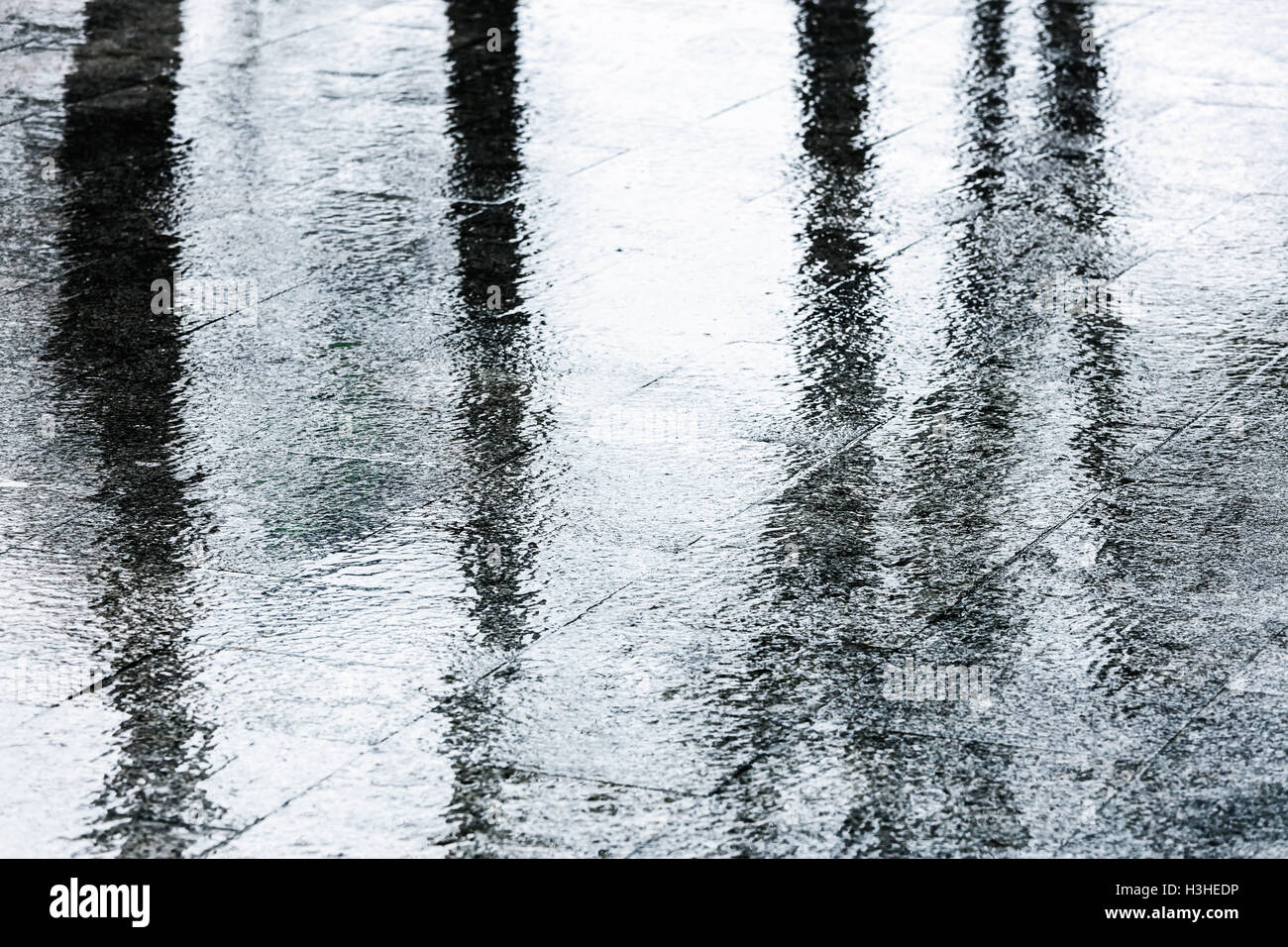 rain puddles with ripples on wet pavement and reflections of trees ...
