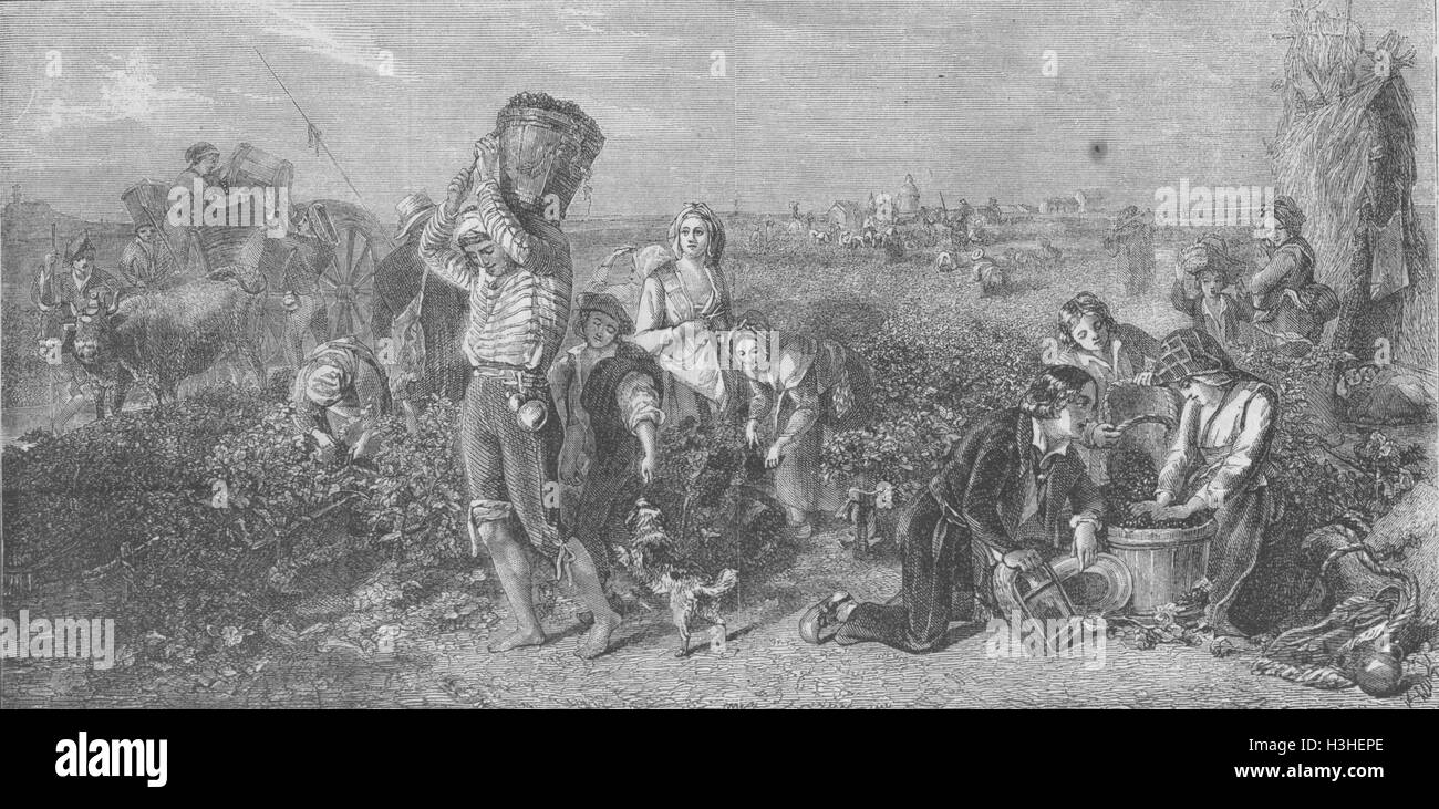 WINE The Vintage 1859. Illustrated Times Stock Photo - Alamy