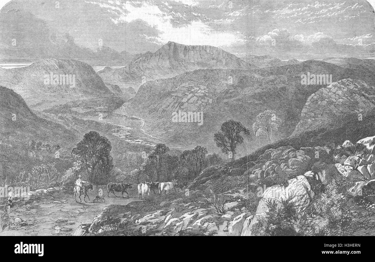 Lledr valley hi-res stock photography and images - Alamy