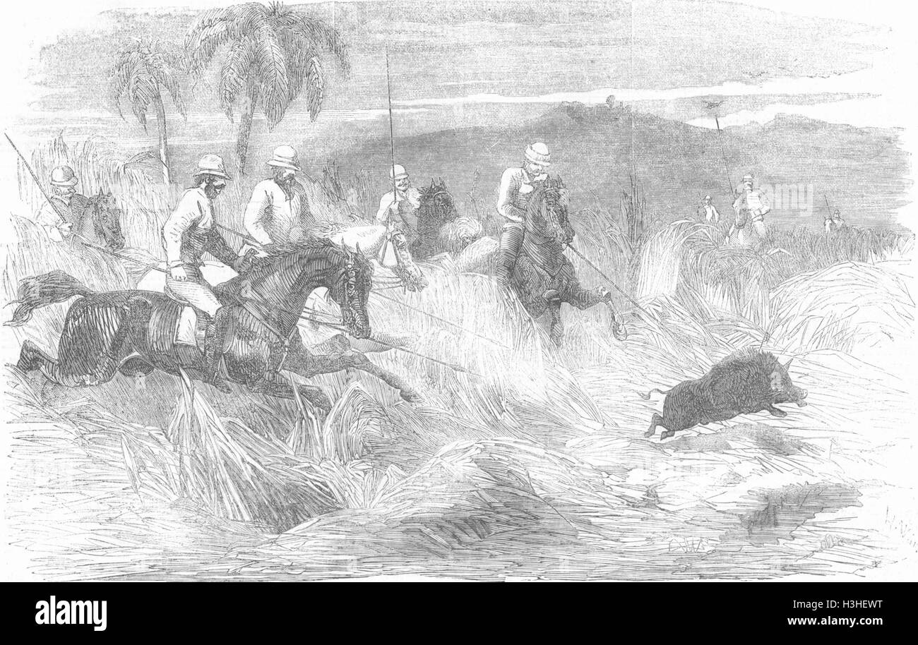 Hunting in india in the 19th century hi-res stock photography and ...
