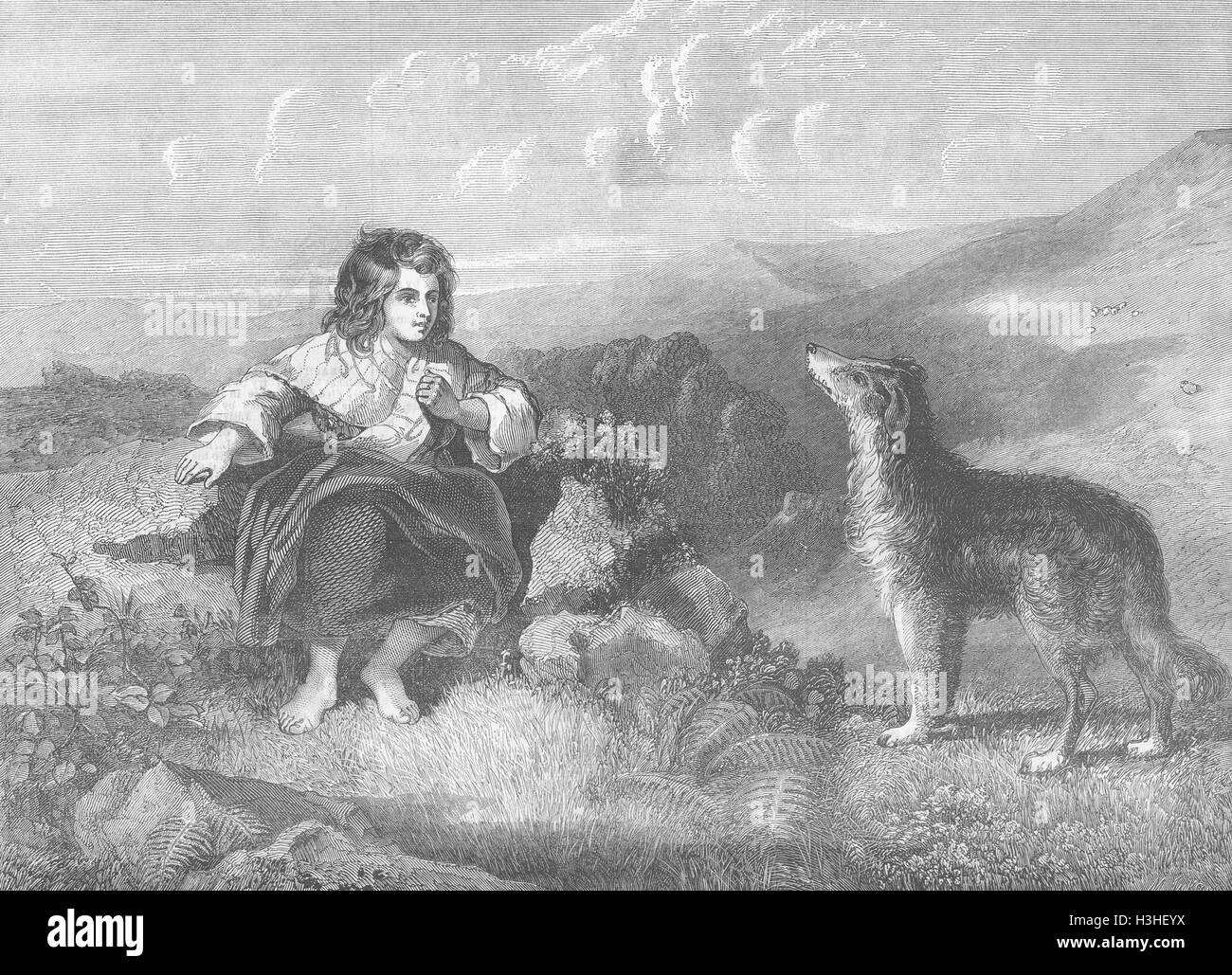 DOGS Giving an order 1854. Illustrated London News Stock Photo - Alamy