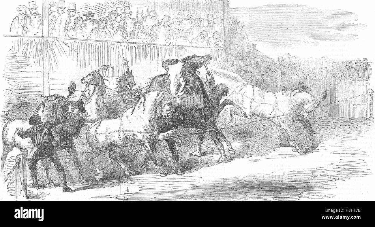 ITALY Carnival races at Rome 1856. Illustrated London News Stock Photo ...