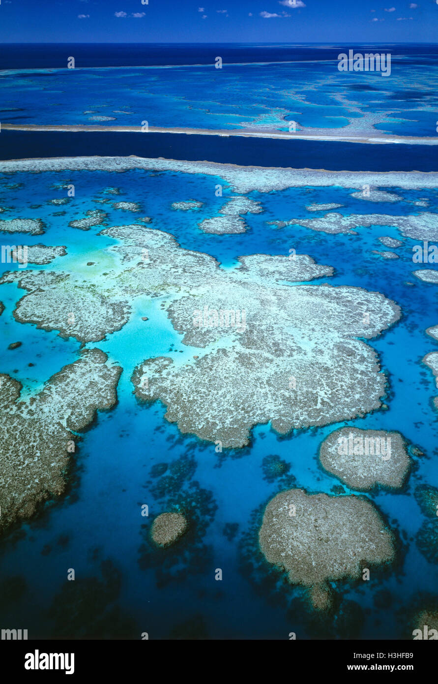 Aerial photograph of Hardy Reef Stock Photo - Alamy