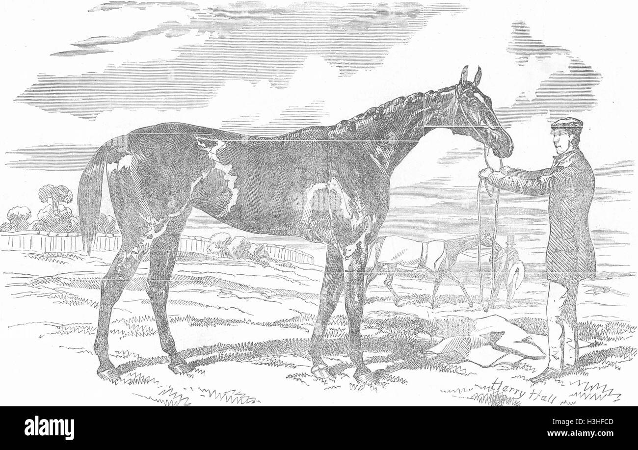 Blink bonny hi-res stock photography and images - Alamy