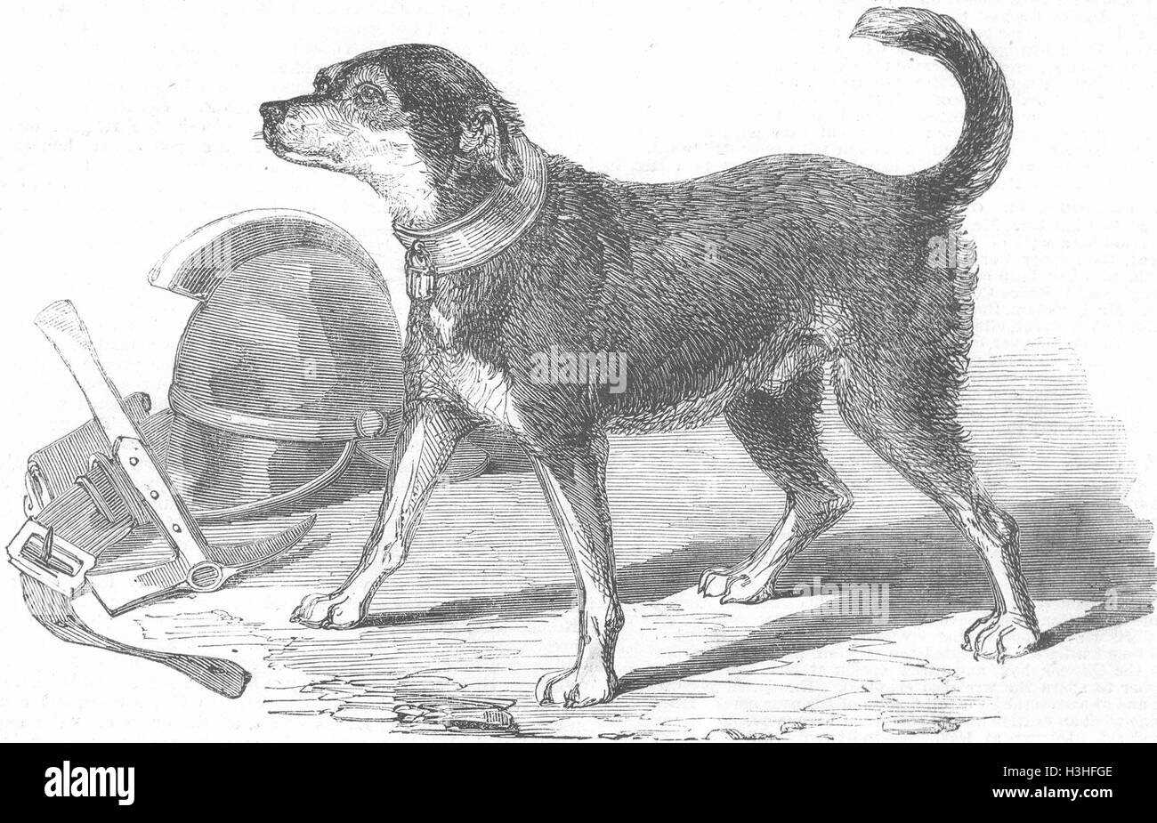 Antique fire escape hi-res stock photography and images - Alamy