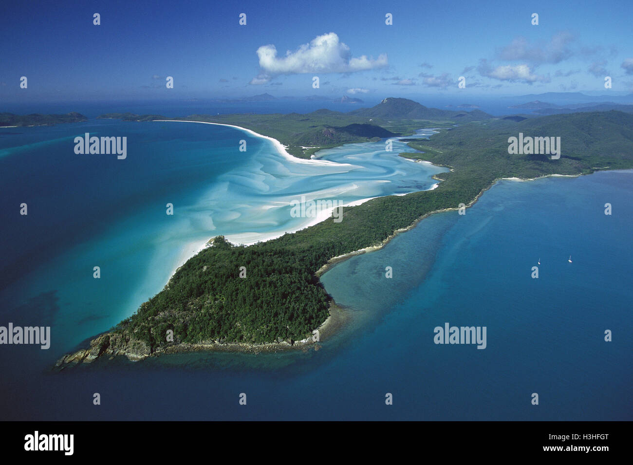 Sea rhinoceros hi-res stock photography and images - Alamy