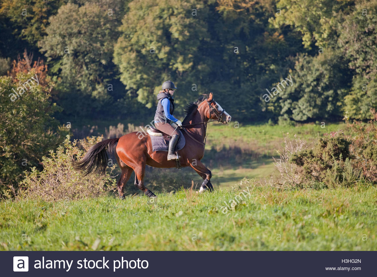 Rider Woman High Resolution Stock Photography and Images - Alamy