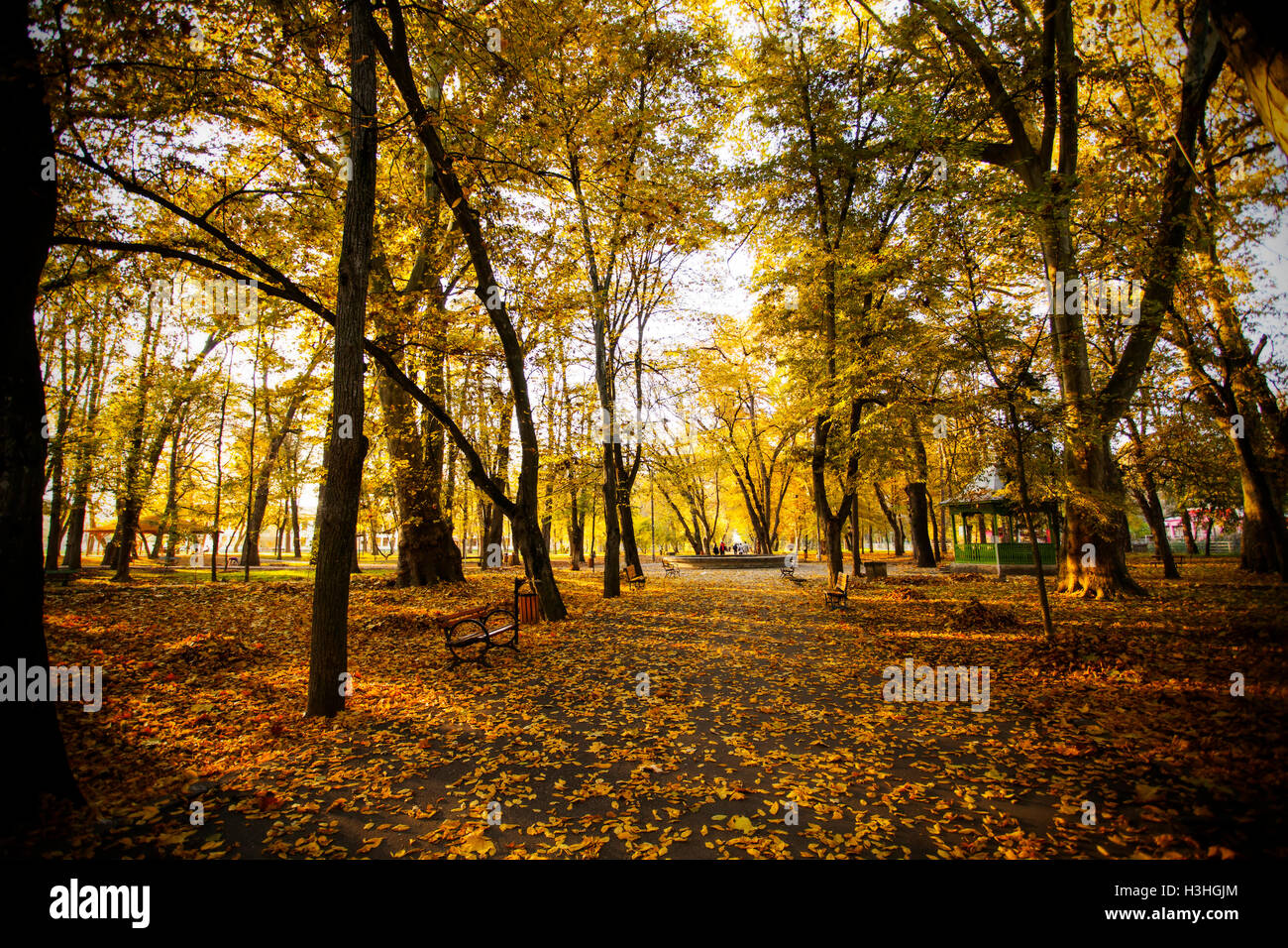 Colorful pathway hi-res stock photography and images - Alamy