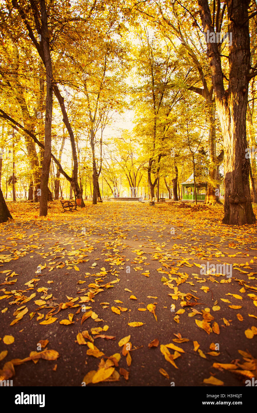 Colorful pathway hi-res stock photography and images - Alamy