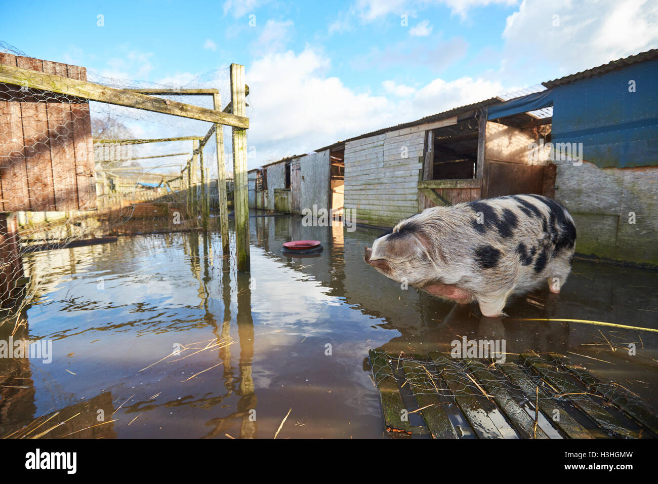 Flooding floods water weather hi-res stock photography and images - Alamy