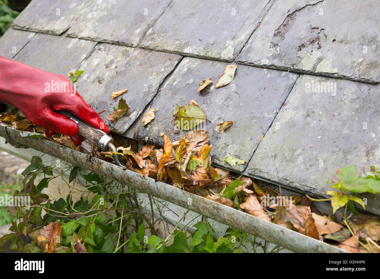 Gutter Trash Clipart